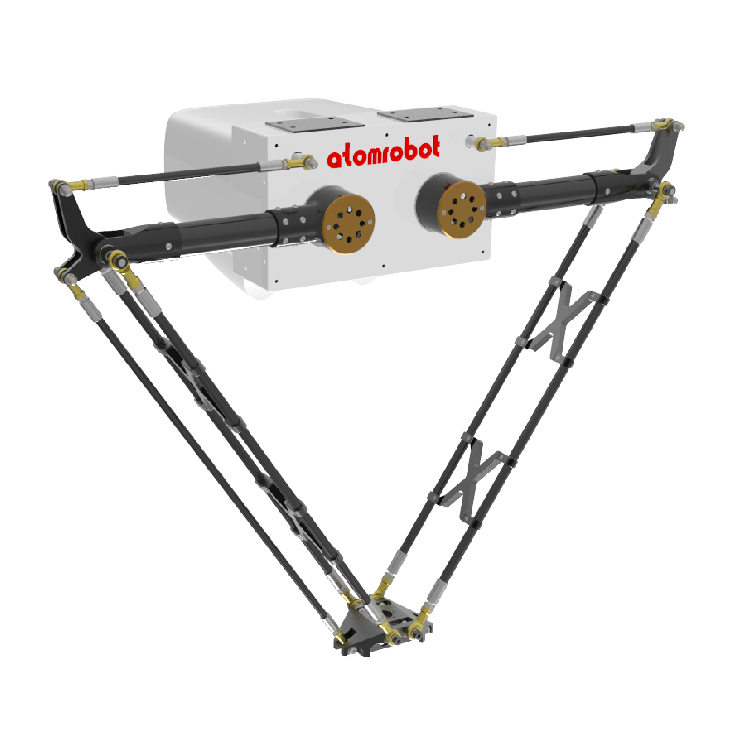 Delta D2-1000-P5-ATOMROBOT